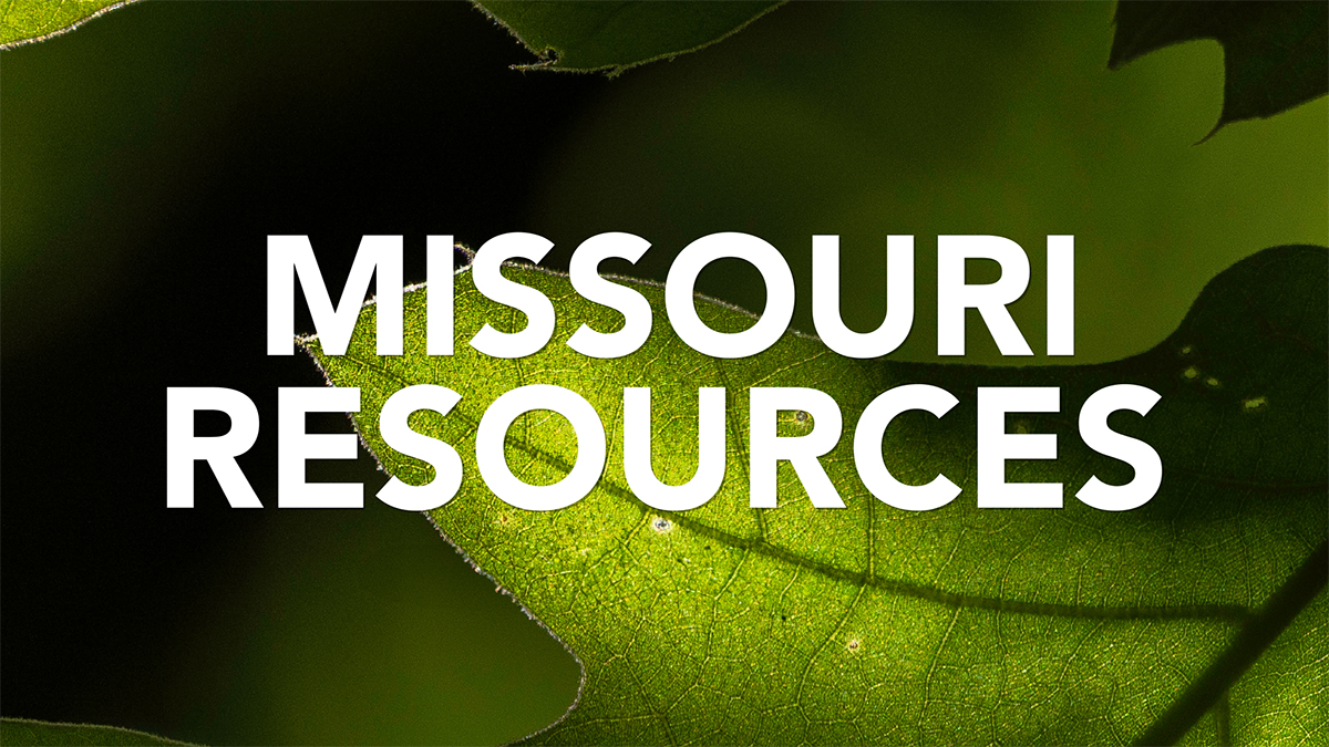 About Us | Missouri Resources Magazine